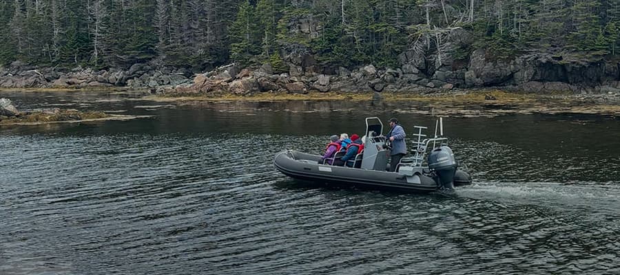 Flights and Ferries to Newfoundland & Labrador